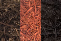 Color Enhanced Bulk Mulch | Down To Earth Landscaping